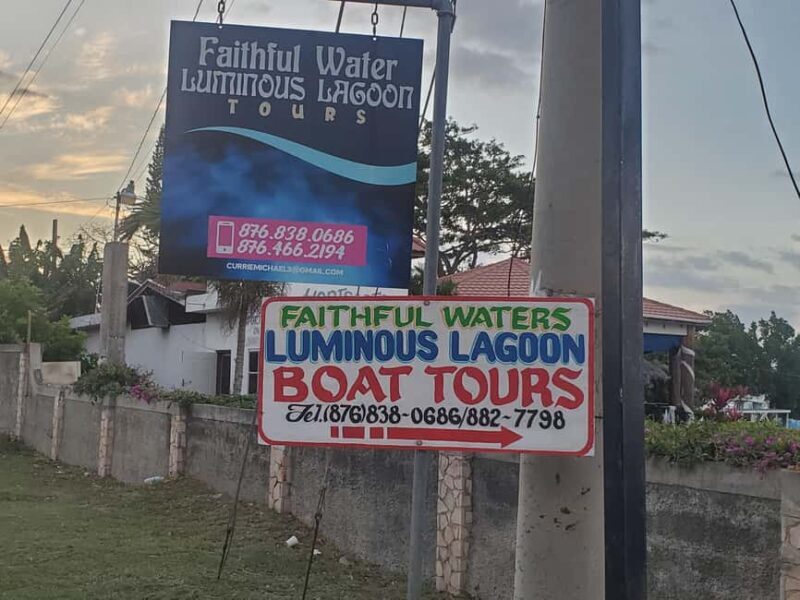 Falmouth: Luminous Lagoon Boat Tour - Practical Tips for Visitors