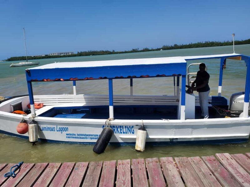 Falmouth: Luminous Lagoon Boat Tour - Authenticity and What Sets It Apart