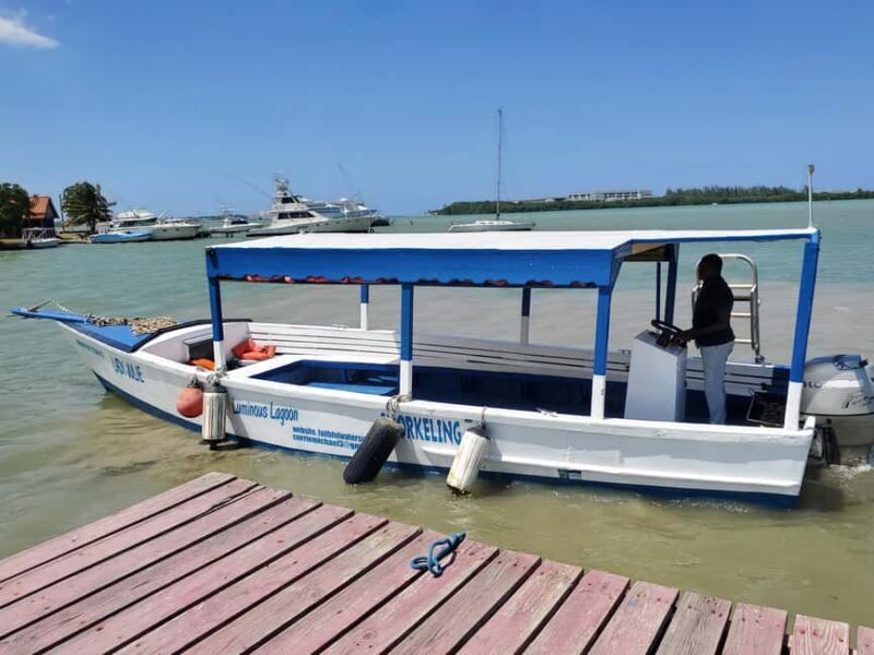 Falmouth: Luminous Lagoon Boat Tour - FAQs