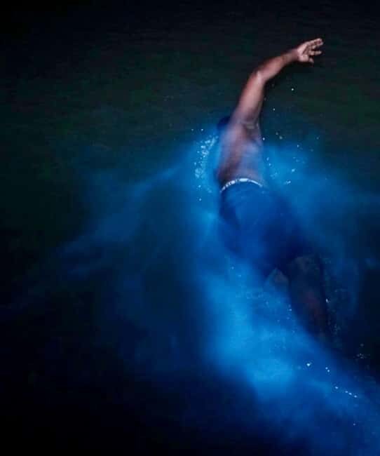 Falmouth: Luminous Lagoon Night Experience - Key Points