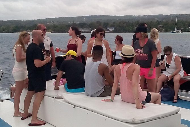 Falmouth Private Van Sightseeing Transport - An In-Depth Look at the Tour Experience