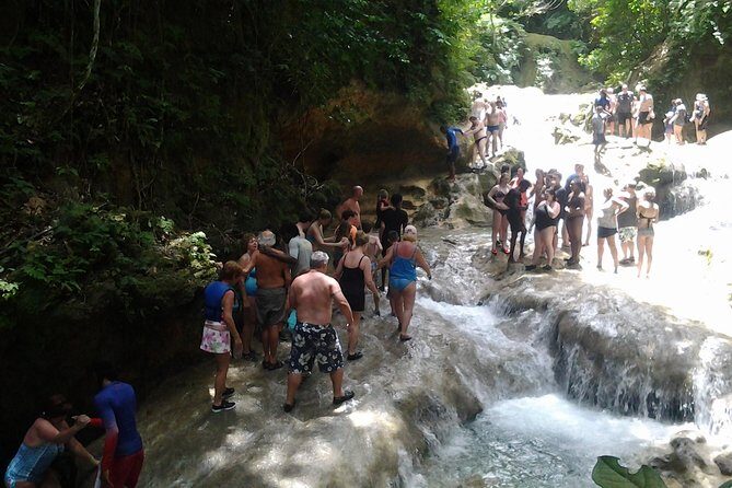 Falmouth Shore Excursion Blue Hole and Dunn's River Falls Combo - Who Should Consider This Tour?
