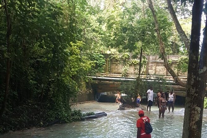 Falmouth to Bob Marley Nine Miles and Dunns River Falls Tour - A Deep Dive into the Experience