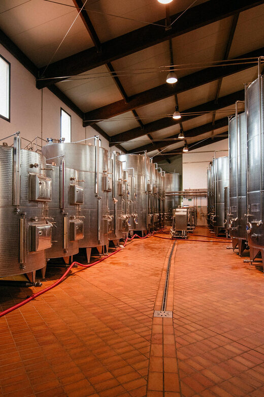FAMIGLIA COTARELLA, NEAR ORVIETO WINE TASTE AND VISIT - Guided Tour of Facilities and Cellars
