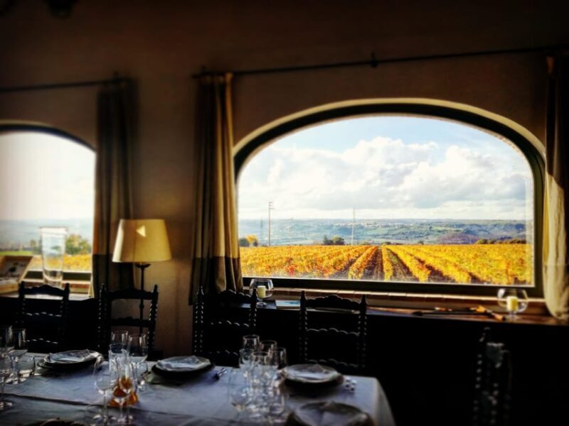 FAMIGLIA COTARELLA, NEAR ORVIETO WINE TASTE AND VISIT - Scenic Vistas in the Heart of Umbria