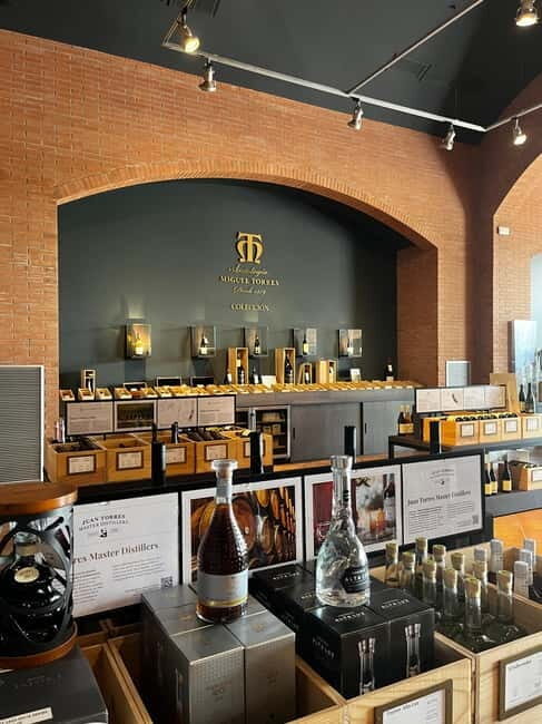 Familia Torres Winery: Gastronomic Tapas & Wine Experience - Familia Torres Winery: Gastronomic Tapas & Wine Experience — A Detailed Review