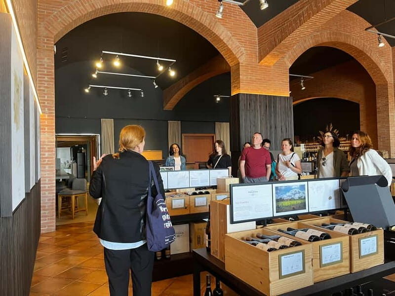 Familia Torres Winery: Gastronomic Tapas & Wine Experience - What Makes This Tour Special?