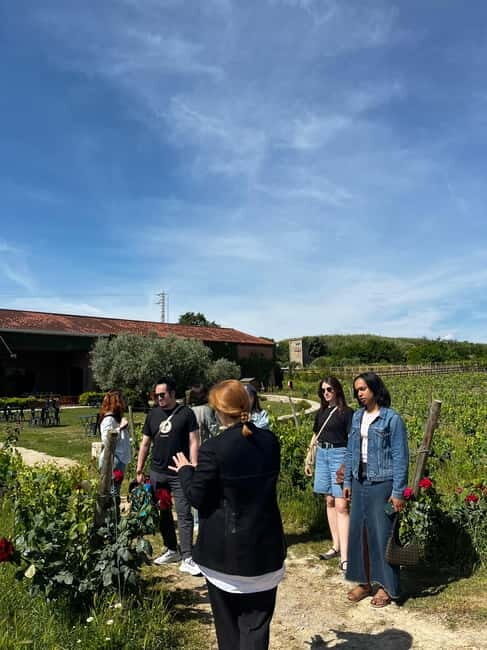 Familia Torres Winery: Gastronomic Tapas & Wine Experience - Who Will Enjoy This Experience?