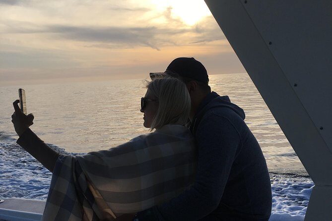Family and Private Group Whale and Dolphin Watching - The Sum Up