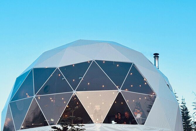 Family Après Dome and Sleigh Ride in Whistler - Family Après Dome and Sleigh Ride in Whistler: A Practical Review