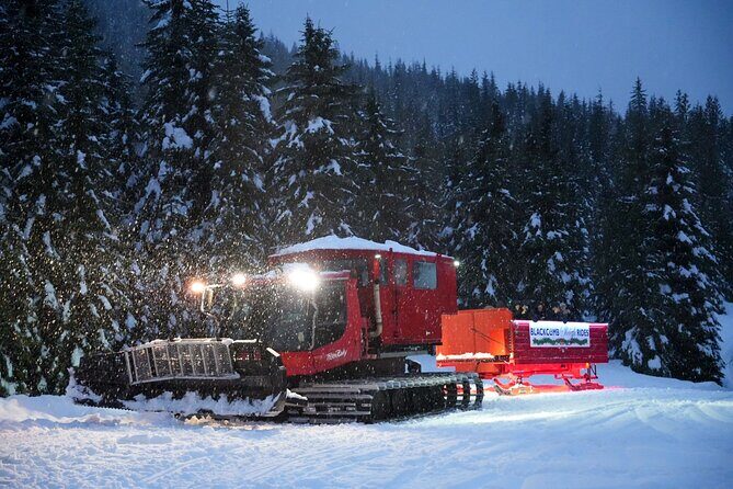 Family Après Dome and Sleigh Ride in Whistler - The Sum Up