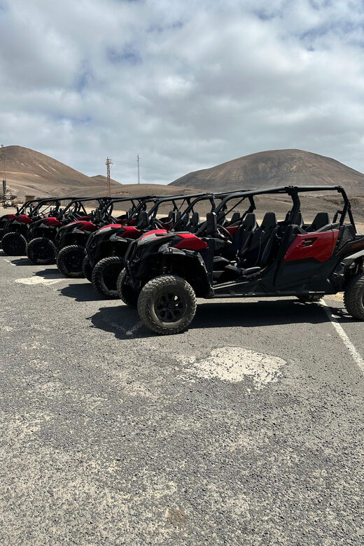 Family buggy - 4 seats, on road tour - Price and Value: Is It Worth It?