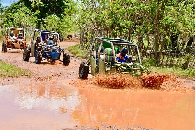 Family Buggy Adventure in Punta Cana  Up to 4 People per Vehicle - Who Should Take This Tour?