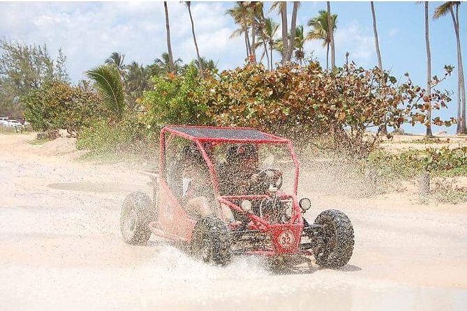 Family, Buggy Adventures, Tours, Macao Beach. Lowest Price. - Who Should Consider This Tour?