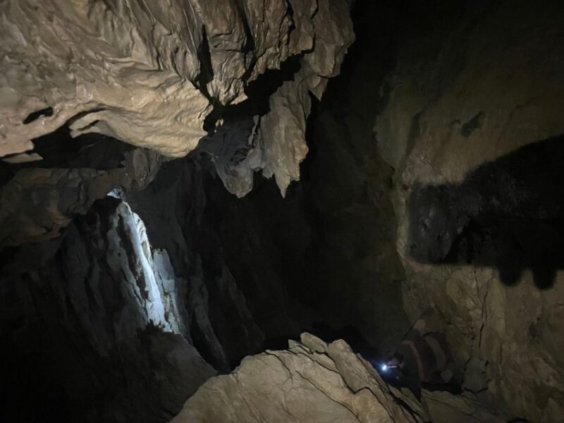 Family Canyoning: Easy Vione option - Pricing & Value