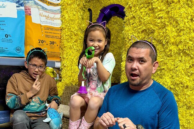 Family Cat Adventure Escape Room - The Experience Itself: How the Puzzle Unfolds