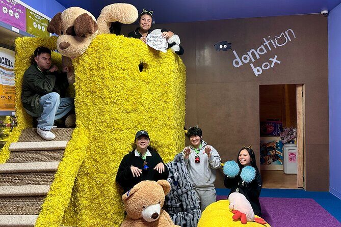 Family Cat Adventure Escape Room - The Practical Details