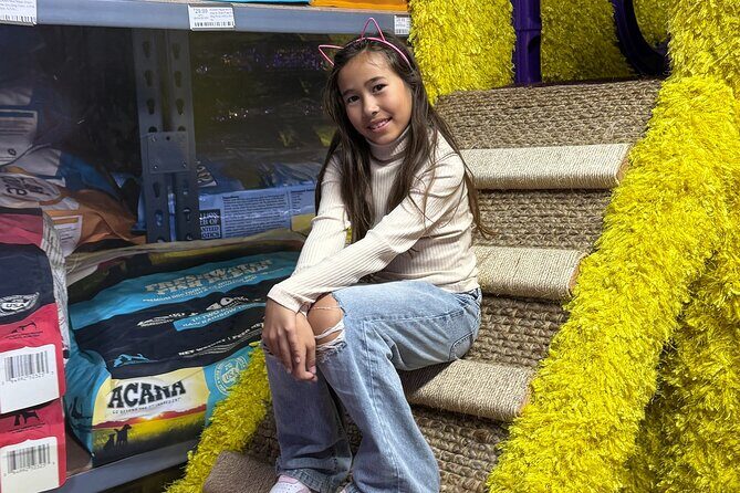 Family Cat Adventure Escape Room - Frequently Asked Questions