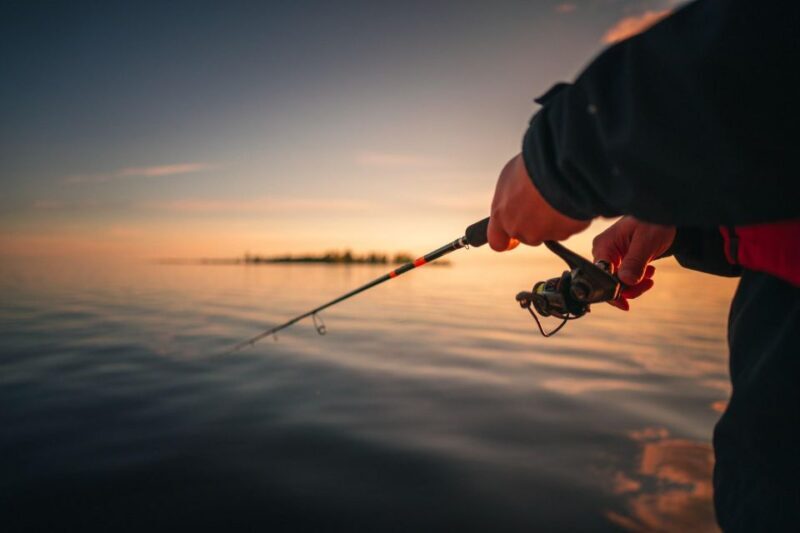 Family-friendly Boat Fishing Trip in Ii - Why the Value You Get Matters