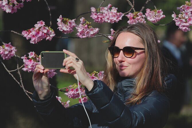 Family-Friendly Customizable Tokyo Tour with a Licenced Guide - Analyzing the Value: Price and Personalization