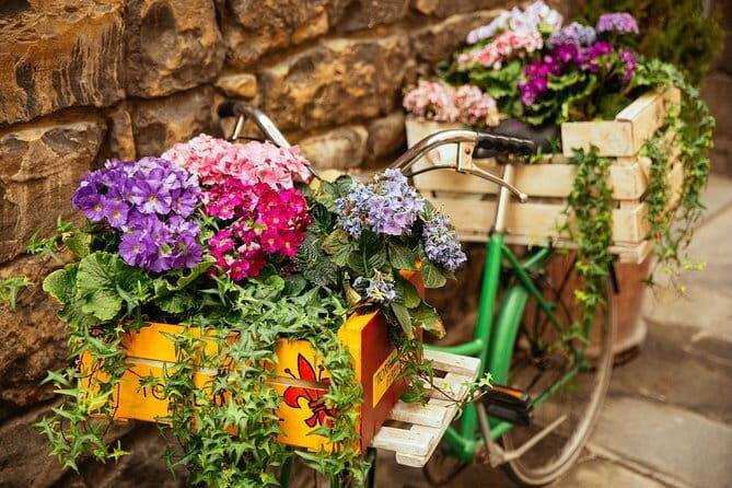 Family Friendly Florence Private City Tour - Pricing and Value