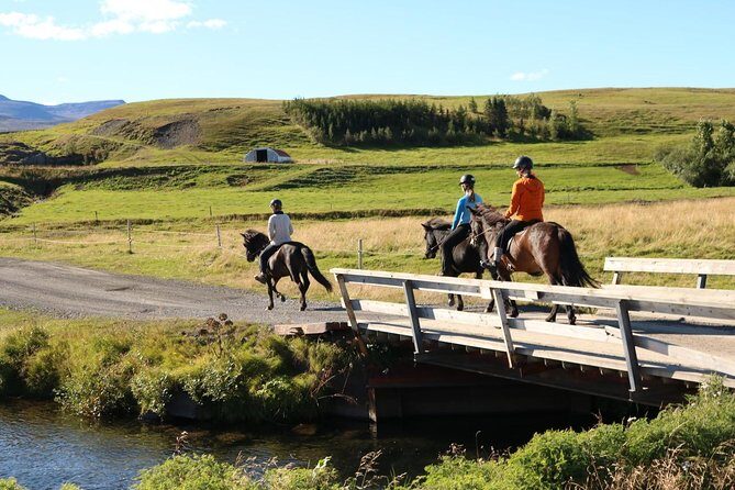 Family Friendly Horse Riding Tour in Skagafjörður - The Guide’s Role