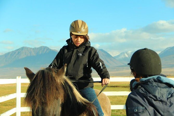 Family Friendly Horse Riding Tour in Skagafjörður - What Past Visitors Say