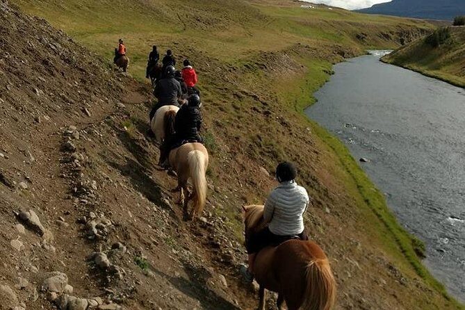 Family Friendly Horse Riding Tour in Skagafjörður - Who Should Consider This Tour?