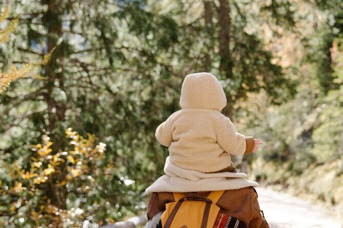 Family-Friendly Nature Hike around the Big Bear Valley - An In-Depth Look at the Experience