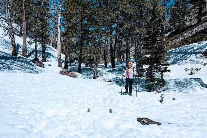 Family-Friendly Nature Hike around the Big Bear Valley - The Sum Up