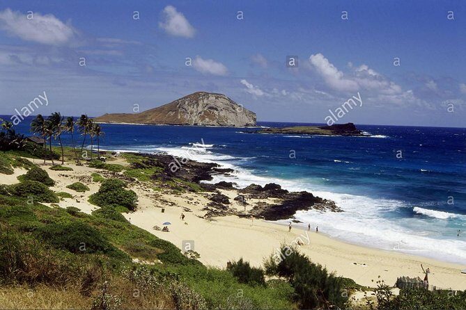Family-Friendly Private Circle Island Tour of Oahu - Final Thoughts: Is It Worth It?