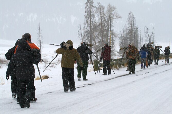 Family Friendly Private Tour at Yellowstone National Park w/Lunch - FAQs