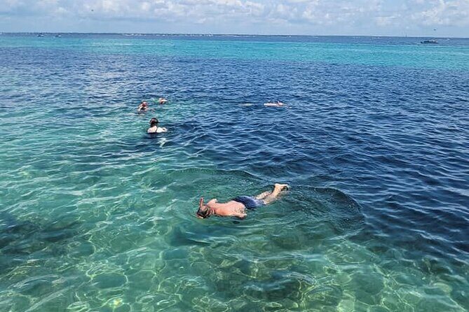 Family-Friendly Snorkeling and Dolphin Tour from FWB - Practical Details for the Traveler
