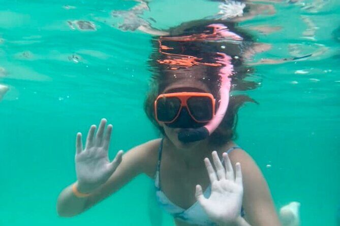 Family-Friendly Snorkeling and Dolphin Tour from FWB - The Sum Up: Who Will Love This Tour?
