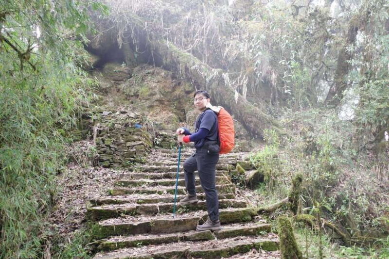 Family-Friendly Trekking: 3 Days Dhampus and Australian Camp - Key Points