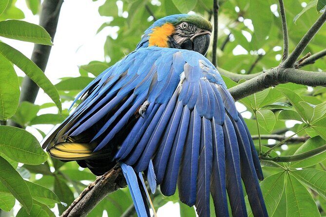 Family Fun at Jakartas Taman Mini - Who Will Love This Tour?