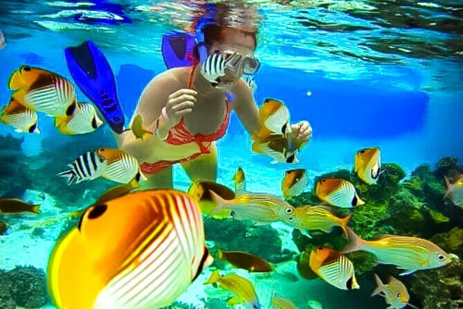 Family Fun-Snorkeling with Lunch Stop from Montego Bay - Easy Booking and Punctual Pickup