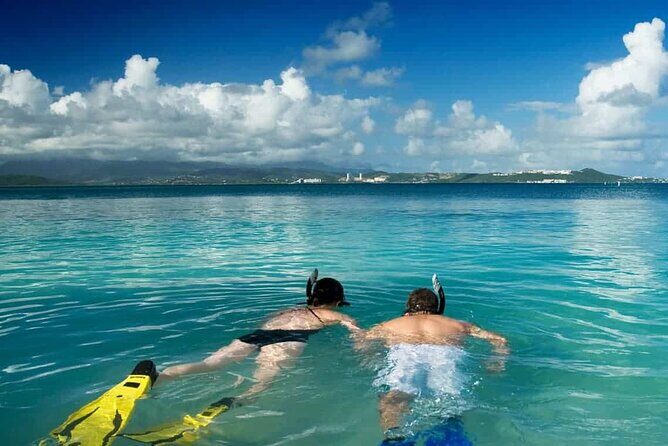 Family Fun-Snorkeling with Lunch Stop from Montego Bay - Real Traveler Feedback