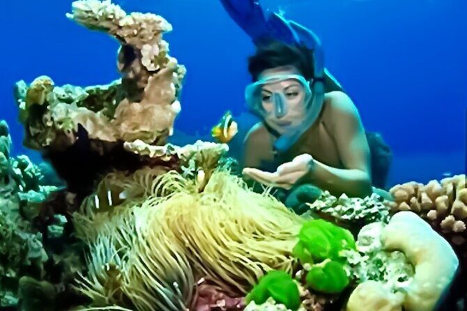 Family Fun-Snorkeling with Lunch Stop from Montego Bay - Frequently Asked Questions