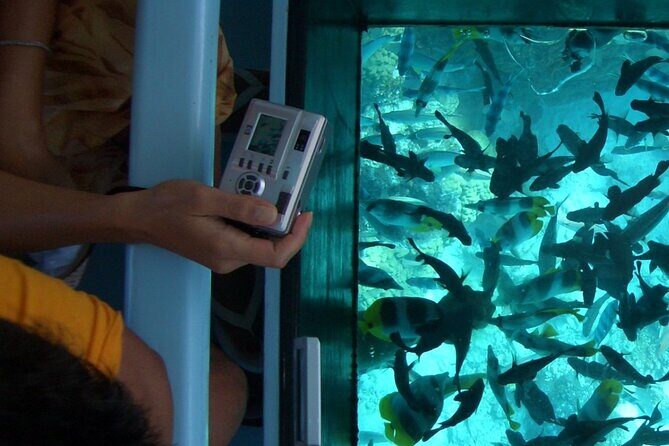 Family Fun-Speed Tubing & Glass Bottom Boat Activity, Montego Bay - FAQs