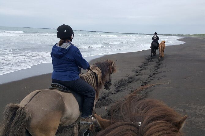 Family Horse Riding Tour in Thorlakshofn - Pricing, Value, and Practicalities