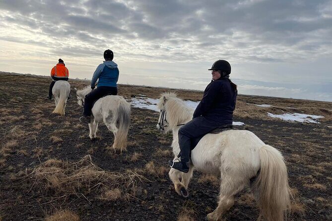 Family Horse Riding Tour in Thorlakshofn - Practical Tips for Travelers
