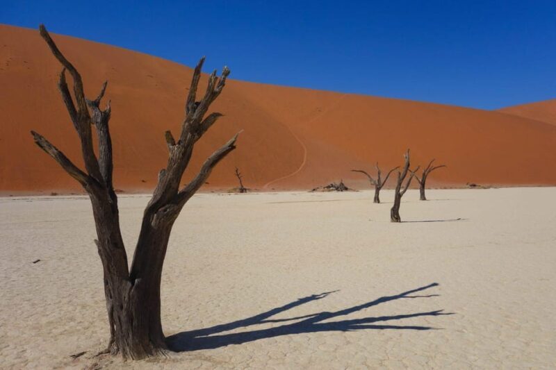 Family Joy in Fuerteventura Walking Tour - Key Points