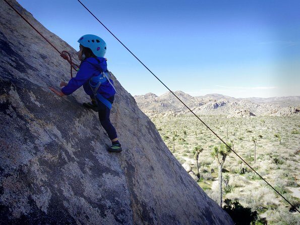 Family Rock Climbing Trips in Joshua Tree National Park (6 Hours) - Practical Tips and Considerations