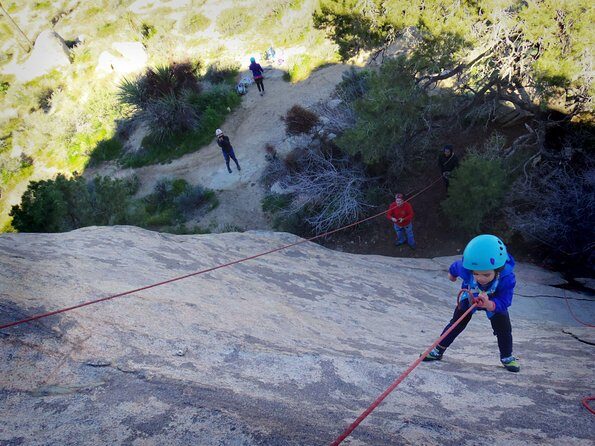 Family Rock Climbing Trips in Joshua Tree National Park (8 Hours) - Practical Tips for Families