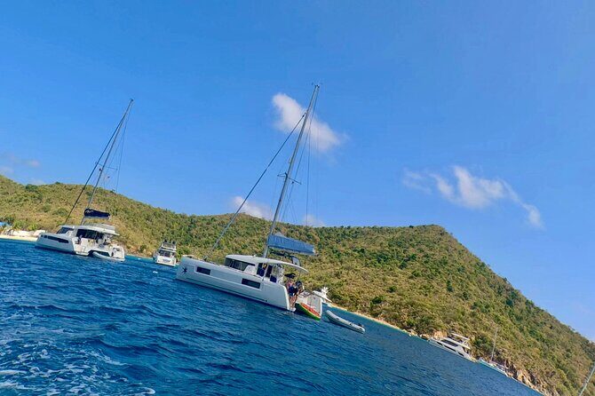 Family Snorkel Safari. Private boat! - Why Travelers Love This Tour