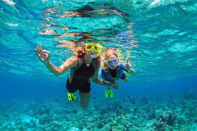 Family Snorkeling Adventure Punta Cana - Key Points