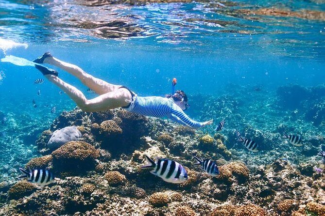 Family Snorkeling Adventure Punta Cana - Frequently Asked Questions