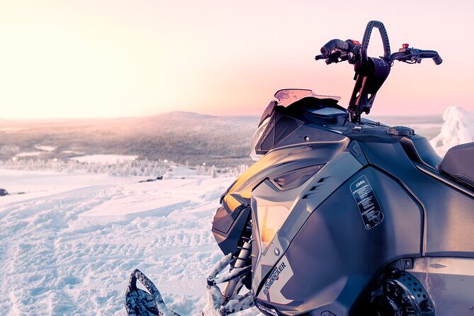 Family Snowmobile Safari in Rovaniemi - Assessing Value and Practical Considerations