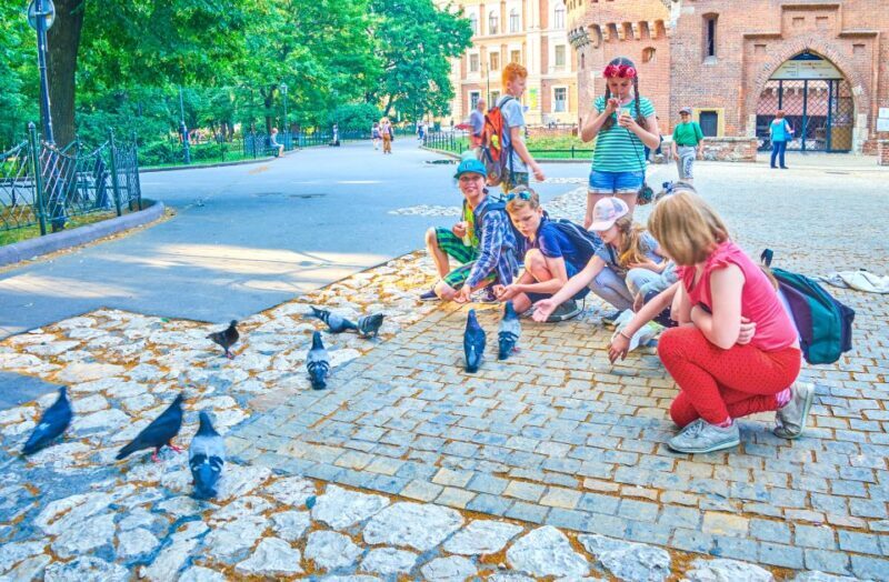 Family Tour of Krakow Old Town with Sweets Factory & Cruise - Key Points